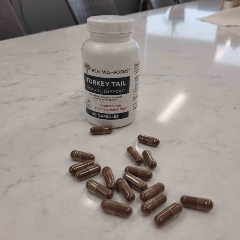 Best Turkey Tail Mushroom Supplements - Drug Genius