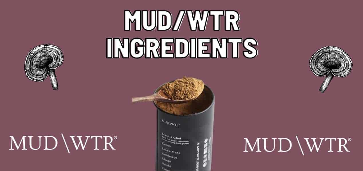 MUD/WTR Ingredients - What is in the Coffee Alternative? - Drug Genius