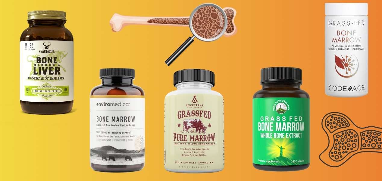 Bone Marrow Supplement - Benefits, Side Effects & Best Brand - Drug Genius