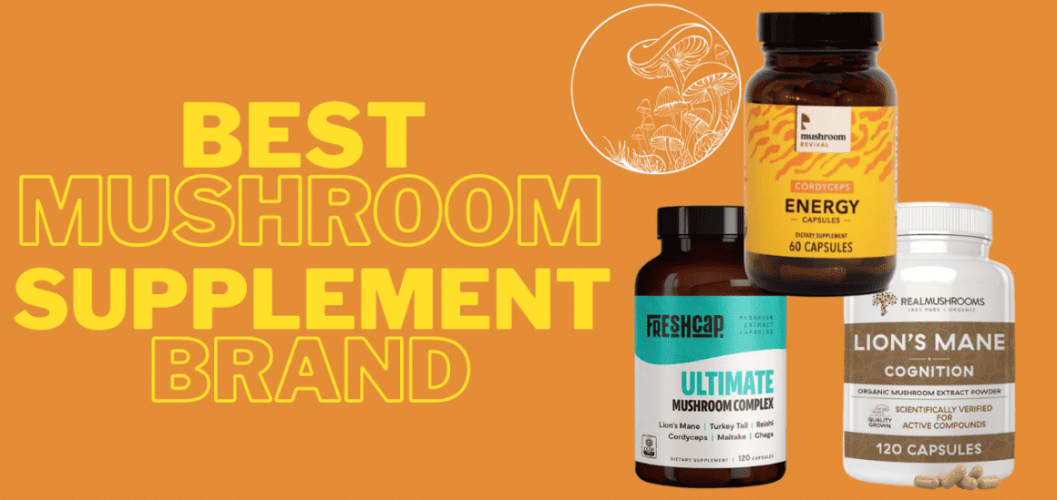 Best Mushroom Supplement Brands For Functional Mushrooms - Drug Genius