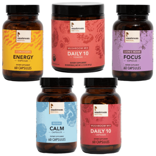 Best Mushroom Supplement Brands For Functional Mushrooms - Drug Genius