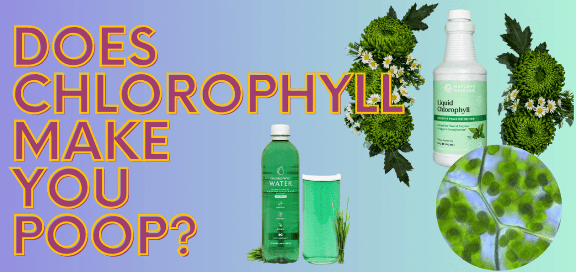 Does Chlorophyll Make You Poop? If So, Why? - Drug Genius