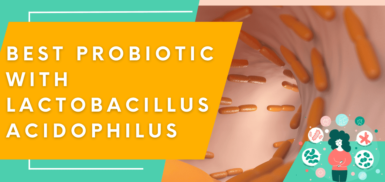 Best Probiotic With The Lactobacillus Acidophilus Strain - Drug Genius